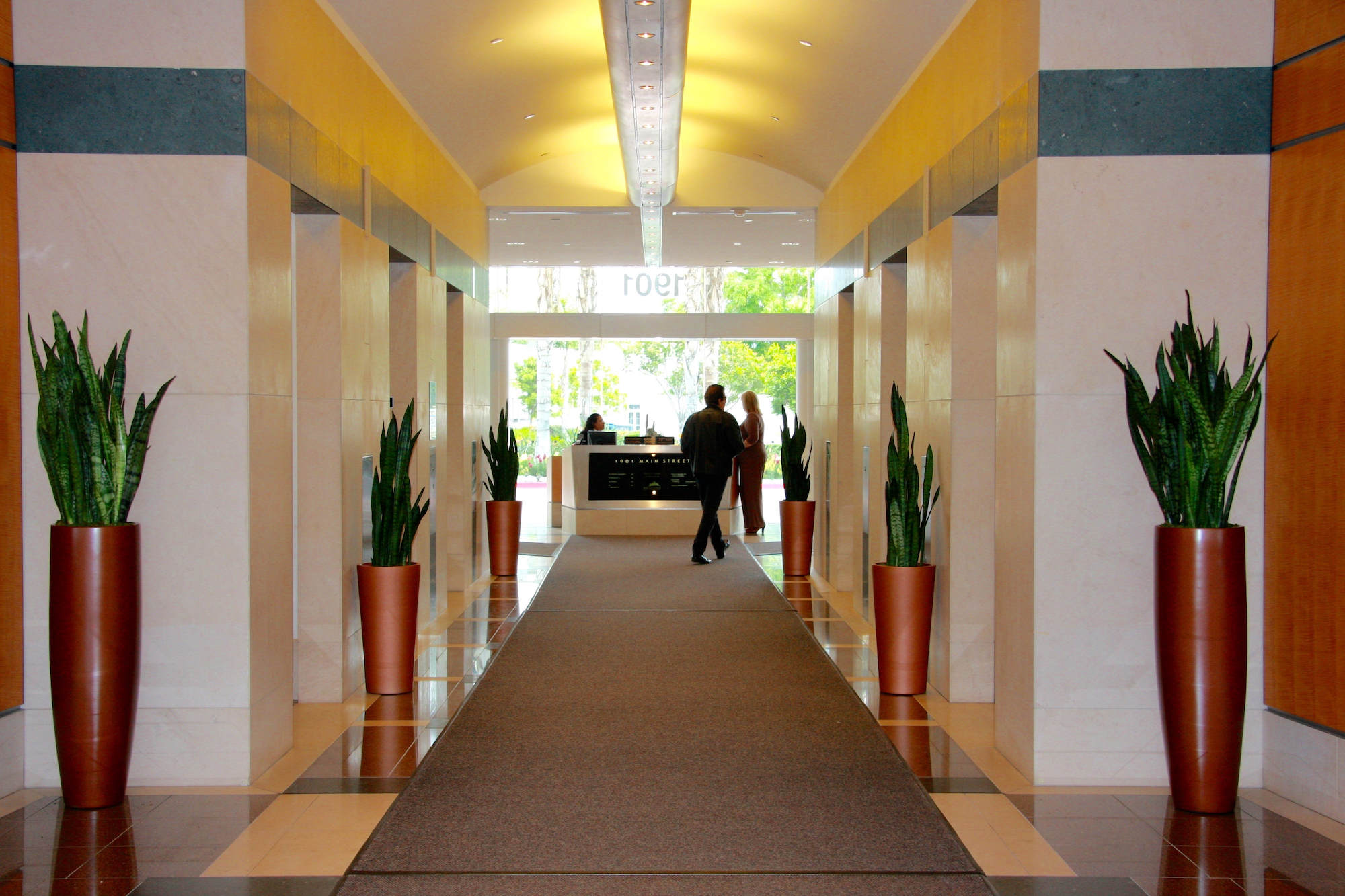 Interior Plant Design Projects – Growing Roots Interior Plant Pros