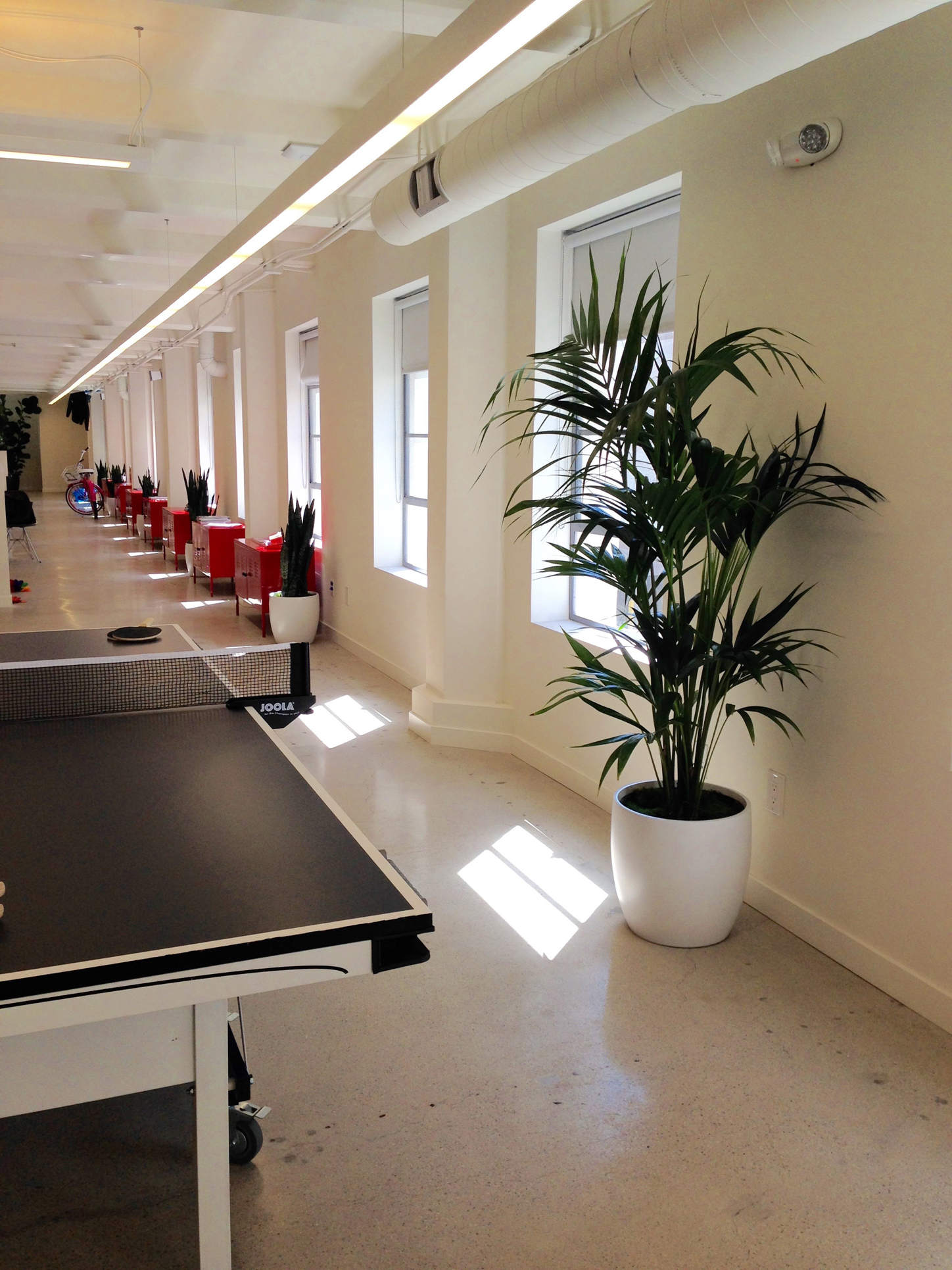 Interior Plant Design Projects – Growing Roots Interior Plant Pros