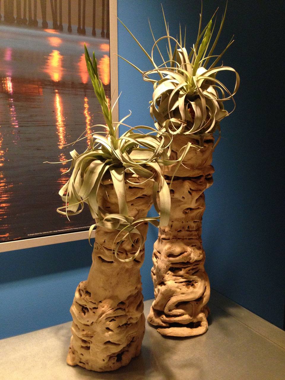 Interior Plant Design Projects – Growing Roots Interior Plant Pros