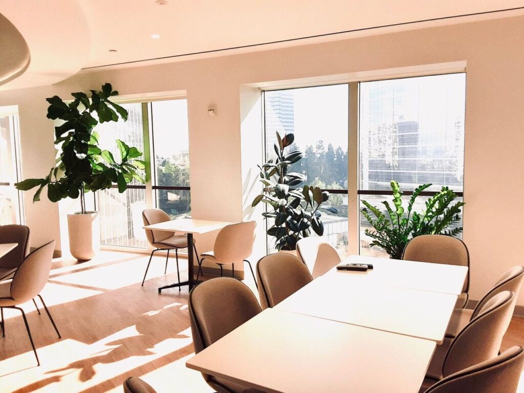 Growing Roots Indoor Plant Care Pros